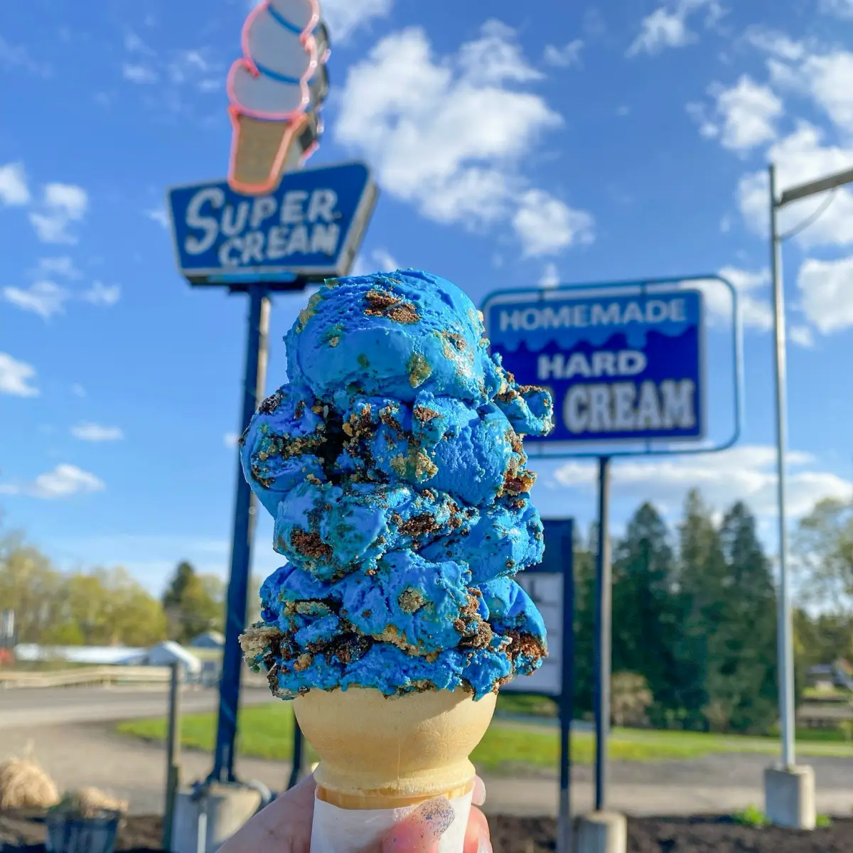 Cortland County Ice Cream Trail Offers Sweet Summer Adventure